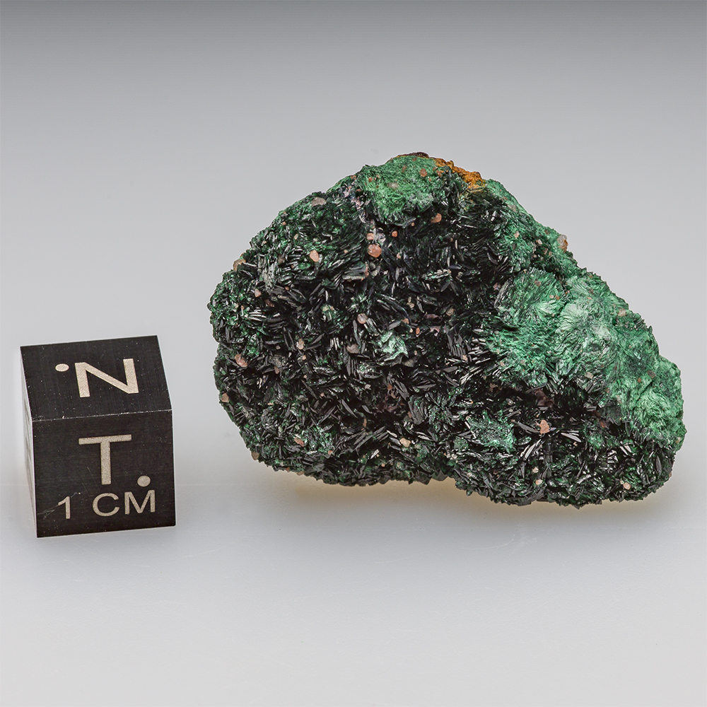 Atacamite - Mark's Minerals