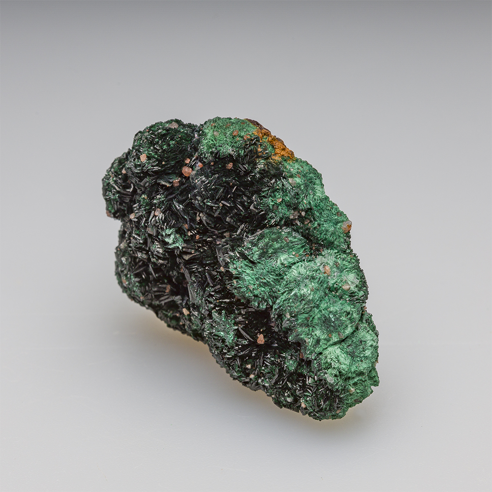 Atacamite - Mark's Minerals