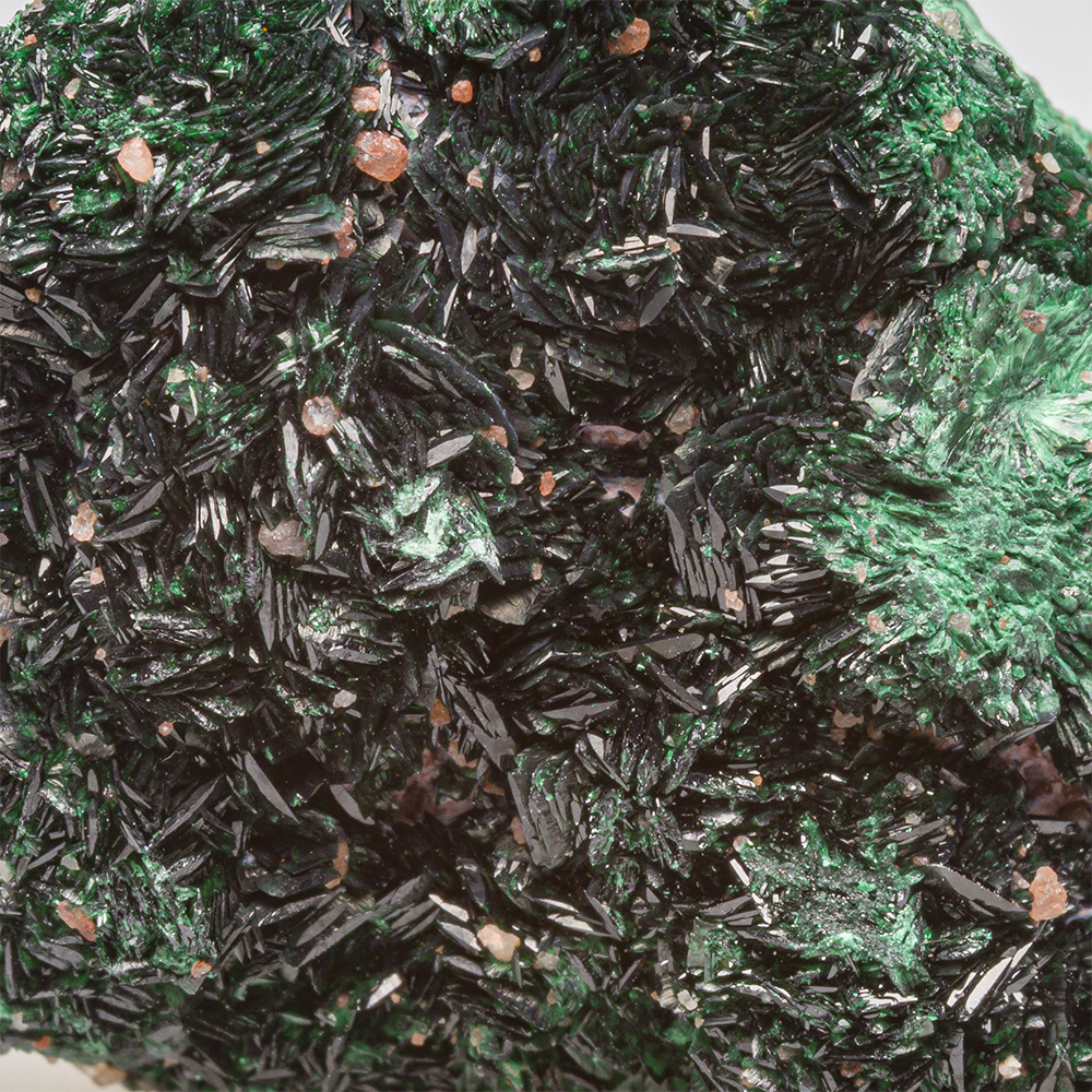 Atacamite - Mark's Minerals